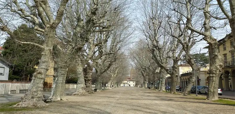 Fabbro Ciriè - www.blindoserr.it